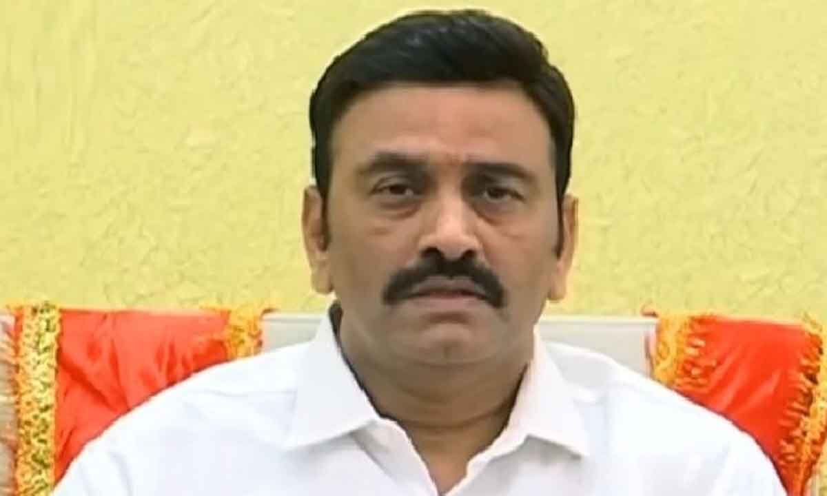 Jr NTR will not campaign for BJP, says MP Raghurama Krishna Raju