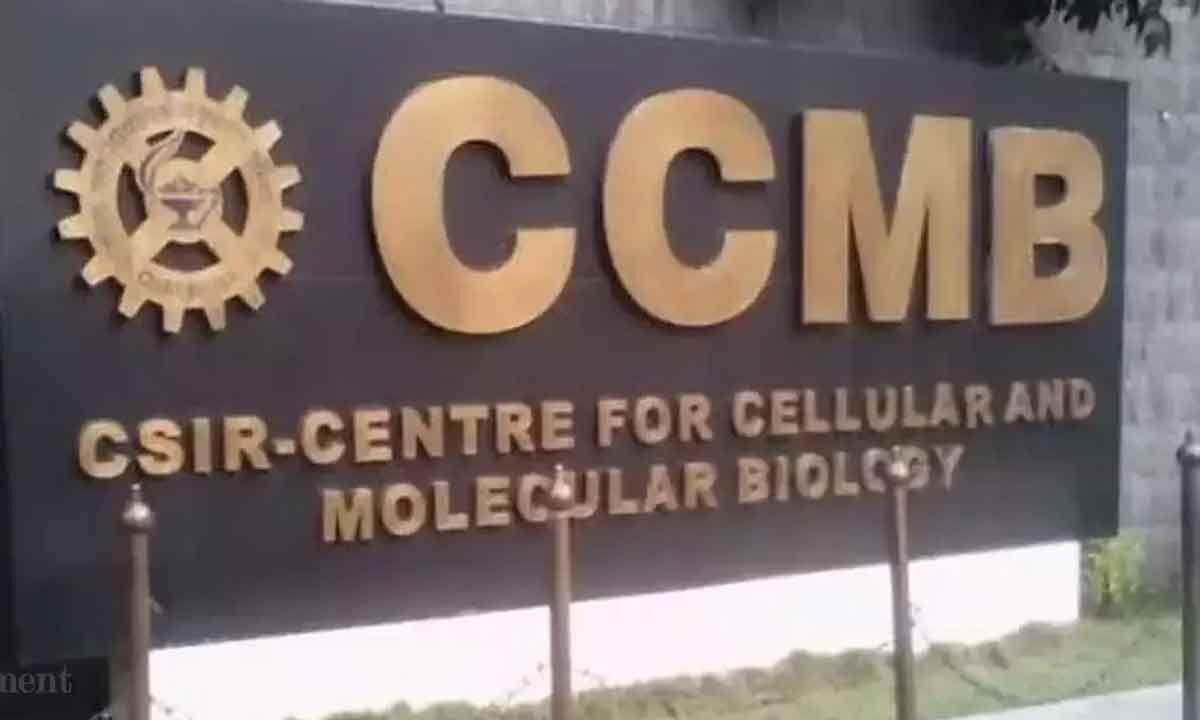 CCMB zeroes in on major genetic causes of male infertility