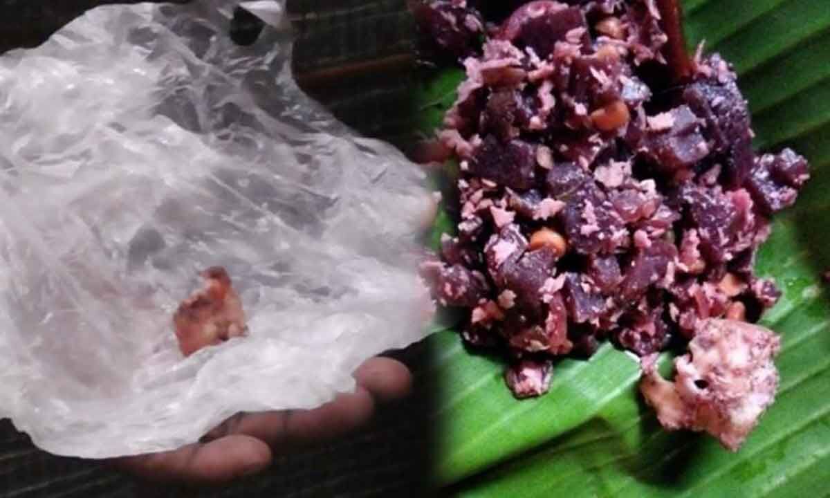 Rat's Head Purportedly Discovered In Tamil Nadu Food Delivery From ...