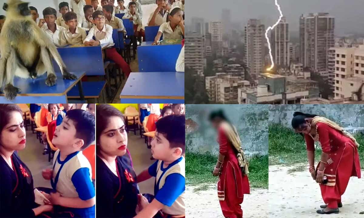 Top Trending Videos Of The Week ( 10 Sept - 16 Sept )