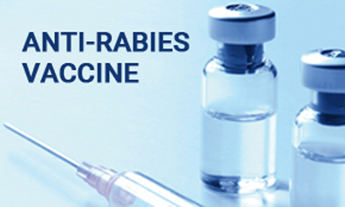 Health Experts In Kerala Recommend All To Take Anti-Rabies Vaccine For ...