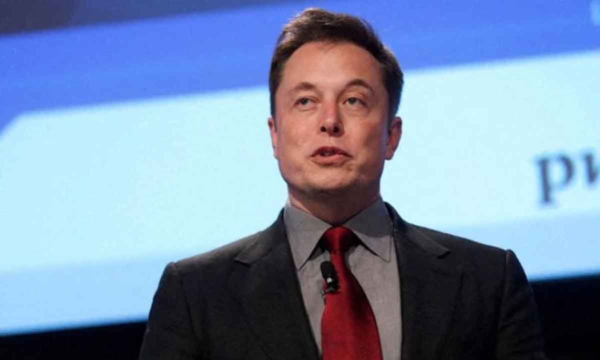 Elon Musk updates his Twitter bio to "Chief Twit"