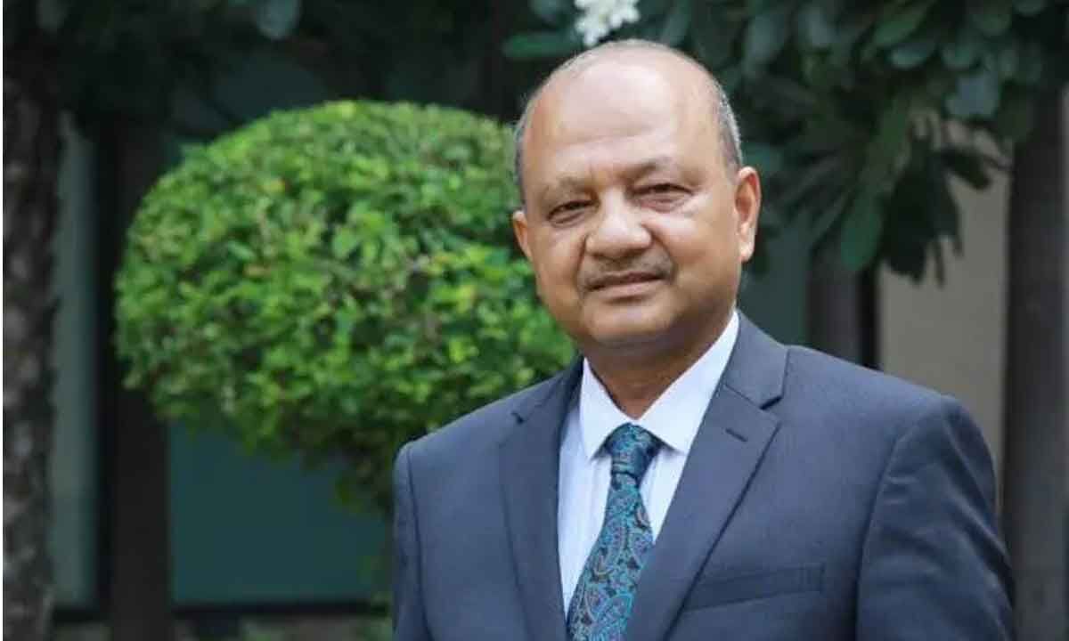 Car sales at record high in Sept quarter