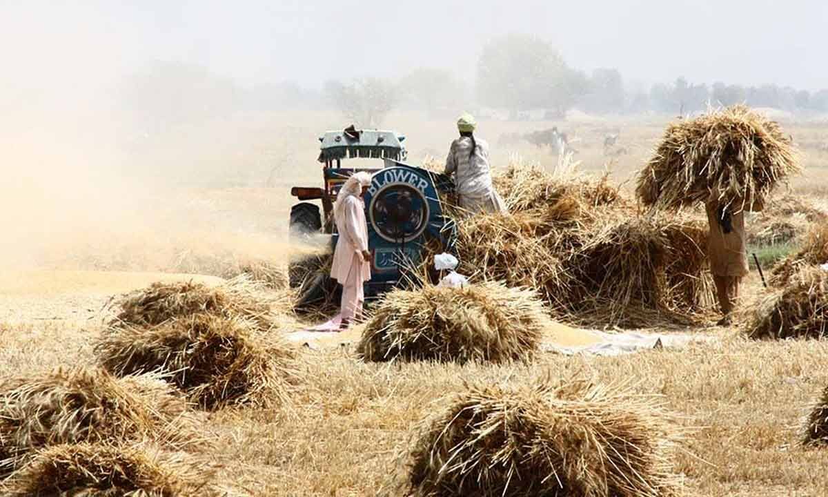 Shifting weather patterns making farming unviable