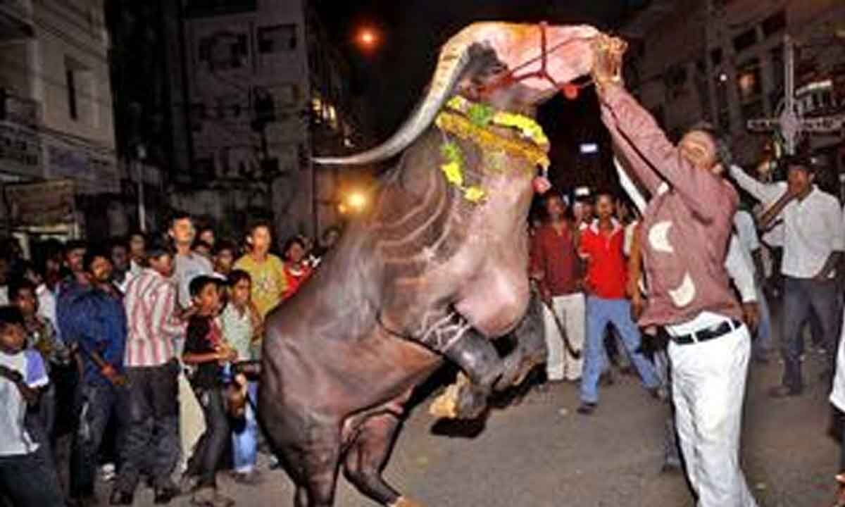 Two groups clash during Sadar festival celebrations