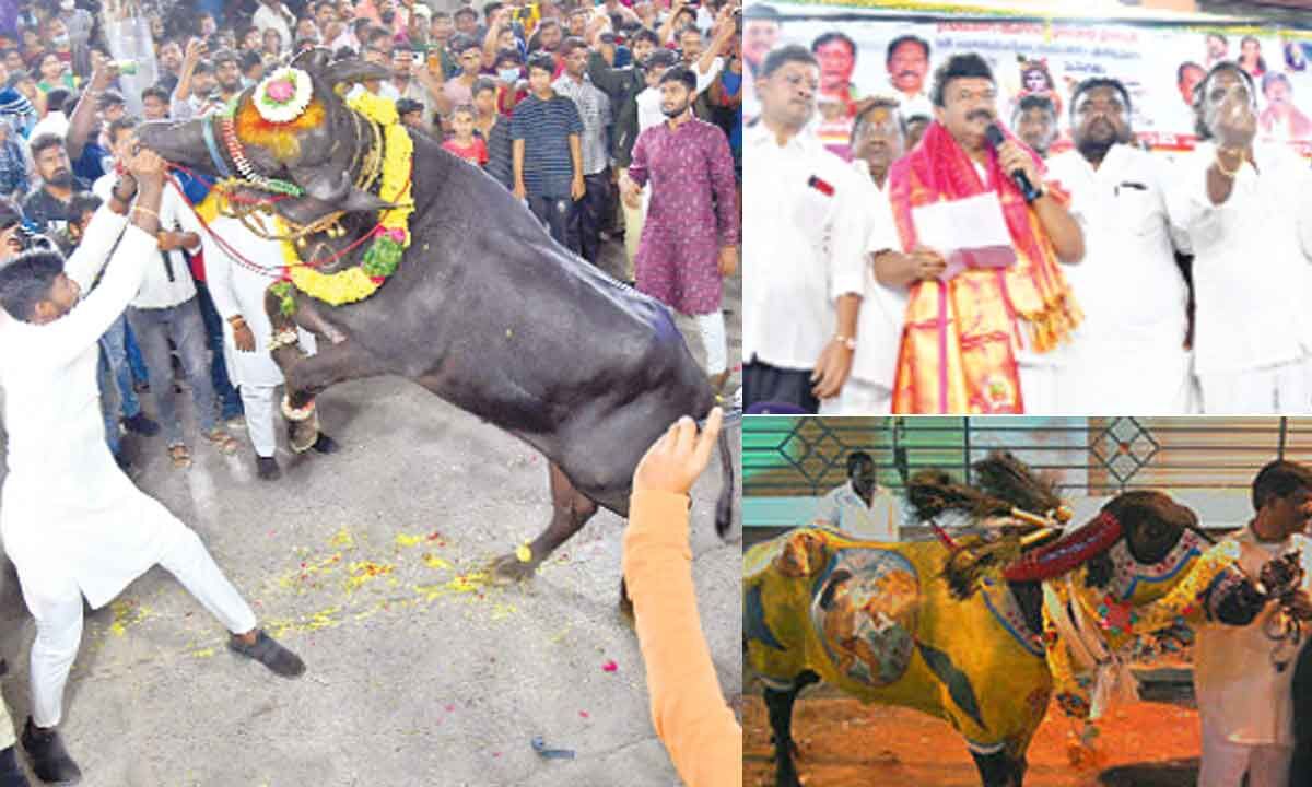 Hyderabad: City reverberates with Sadar festivities