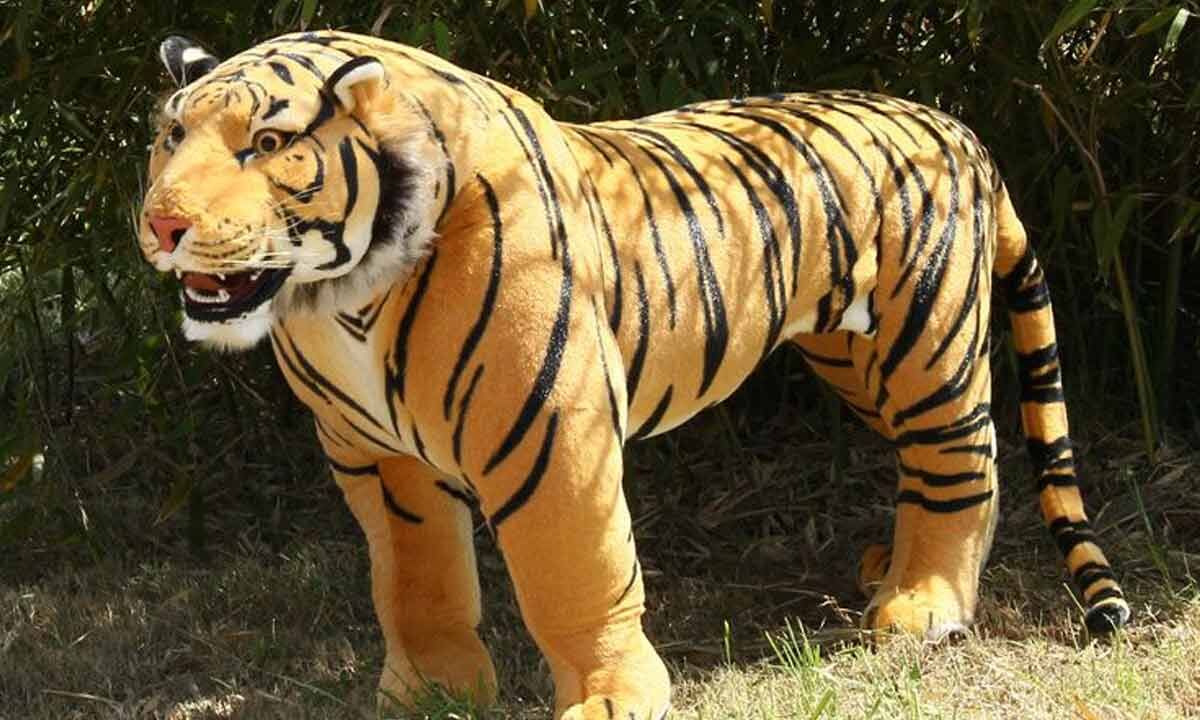 Tiger spotted, triggers panic in Asifabad