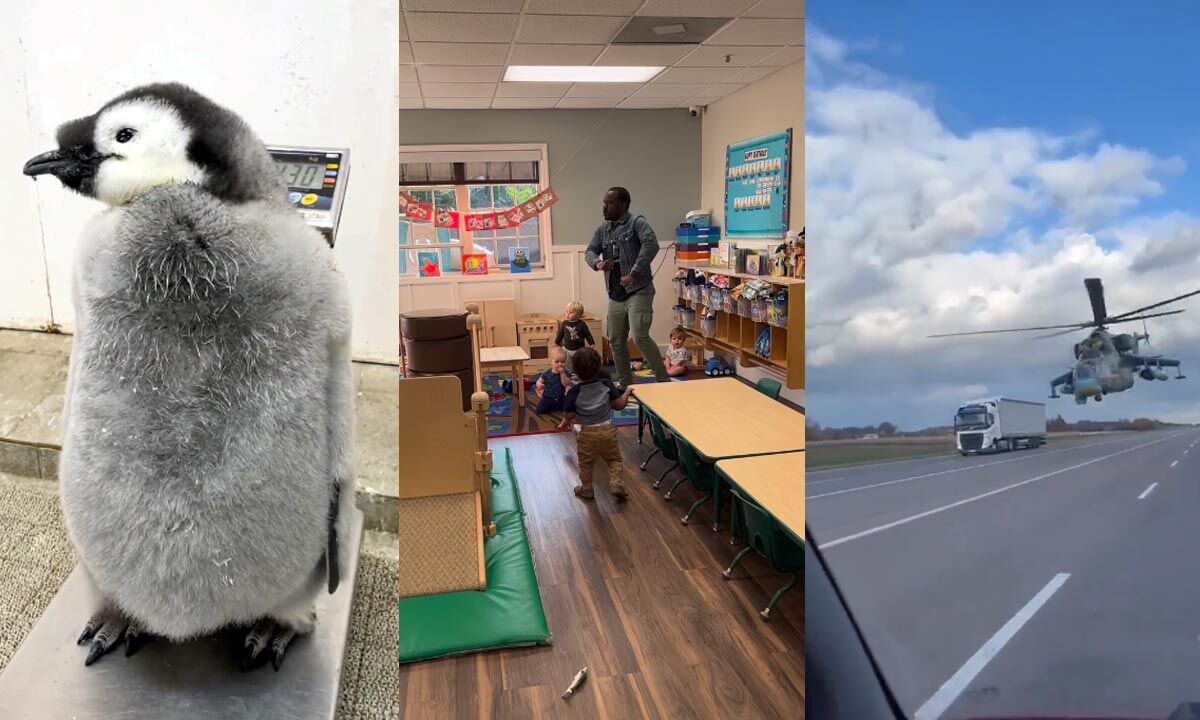 Top Trending Videos Of The Week ( 22 October - 28 October )