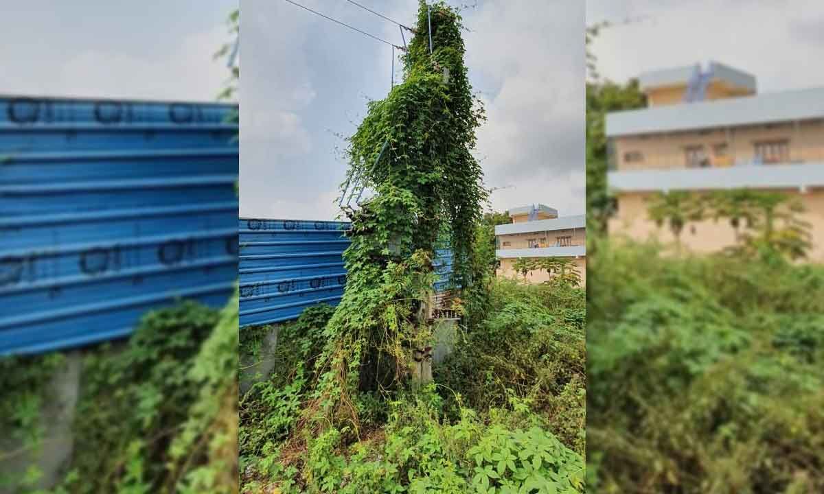 Poor maintenance of power infra causing mishaps, deaths