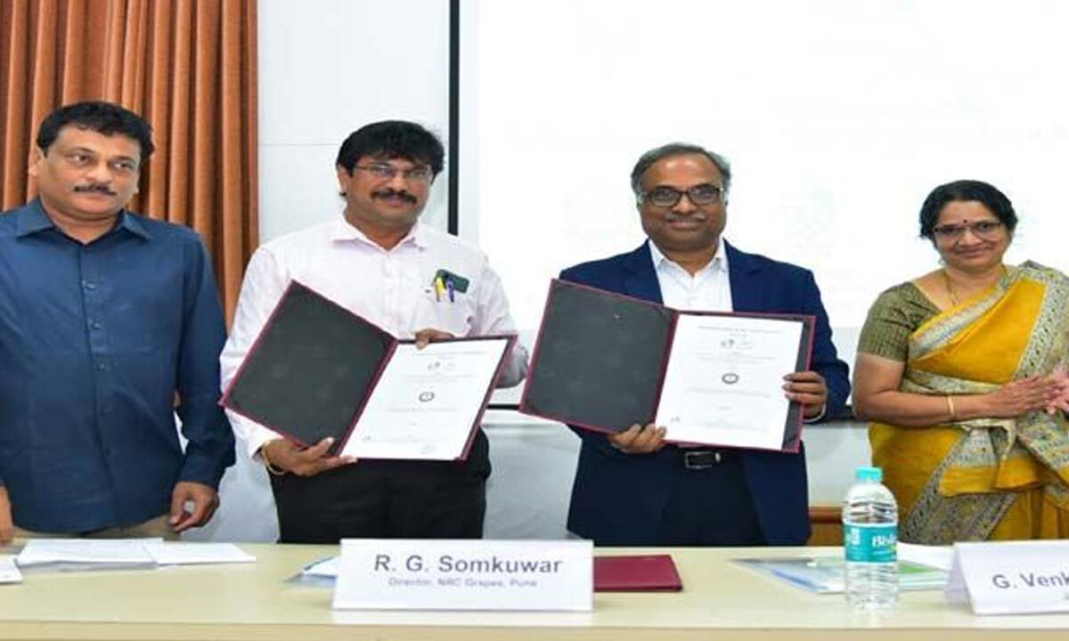 Hyderabad: NAARM inks pact with horti-varsity, other institutions to ...