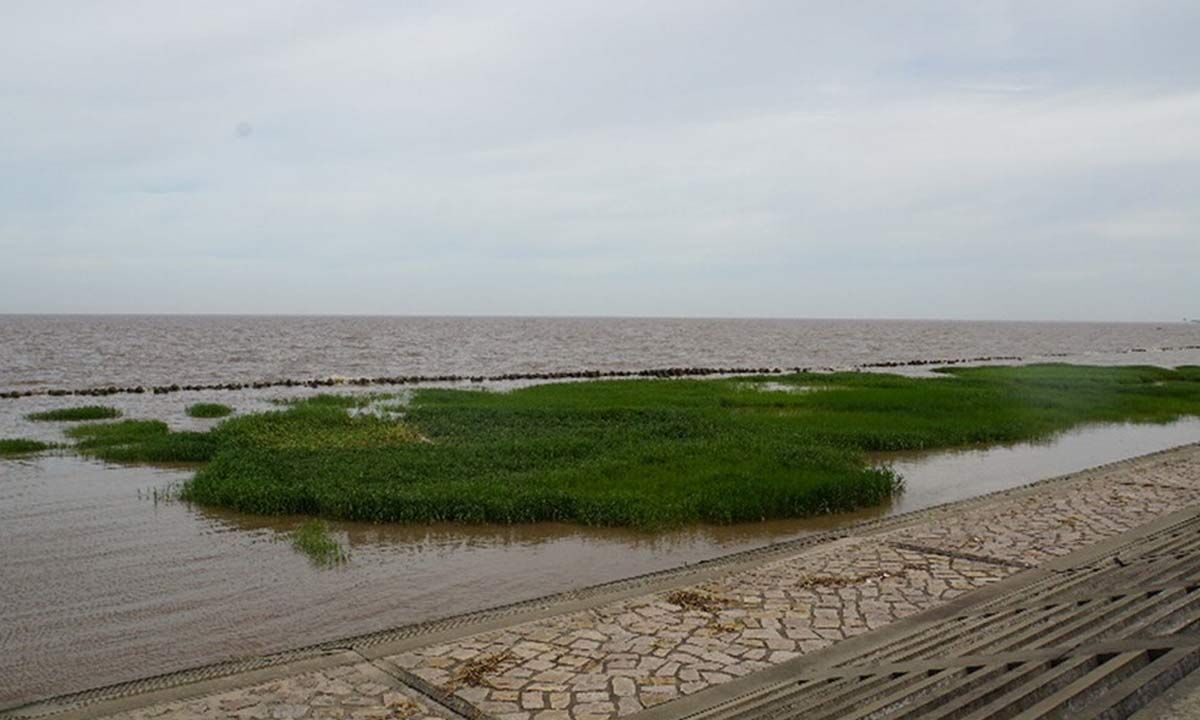 Avert threats to coastal wetlands