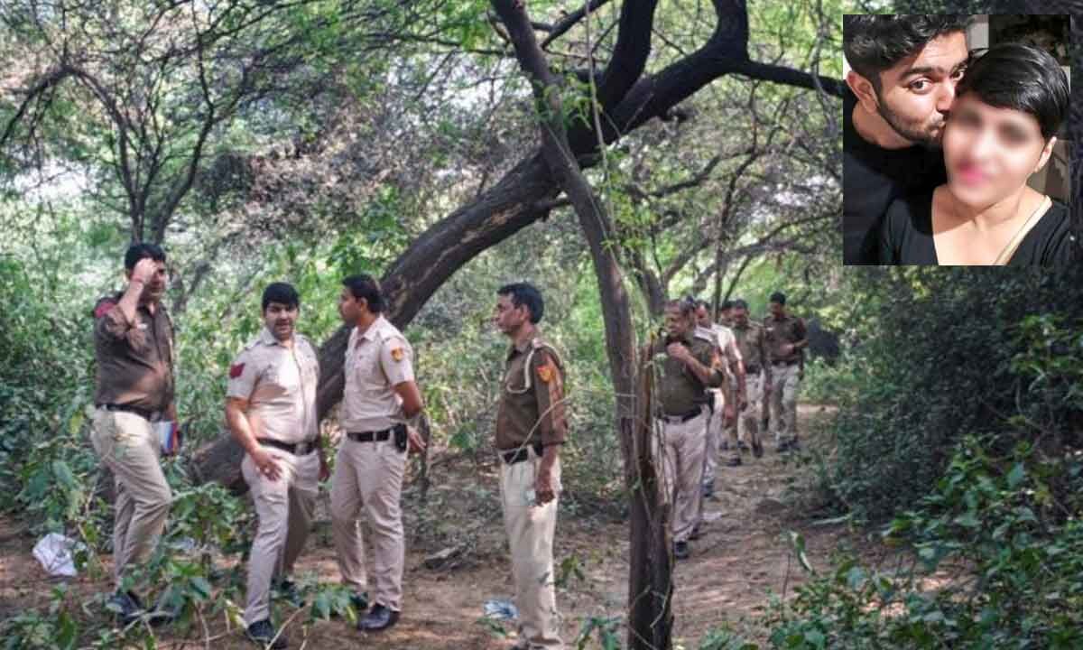 Mehrauli murder: Searches conducted in Gurugram forest area for human ...