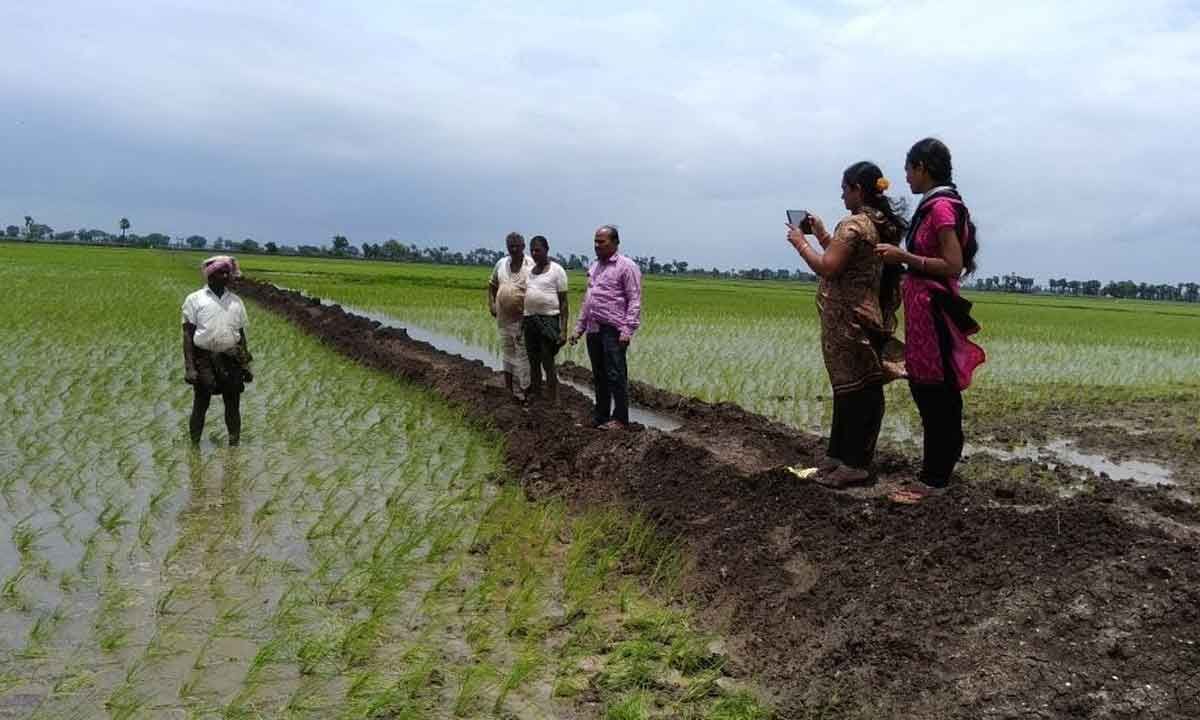 Create awareness among farmers on e-crop booking
