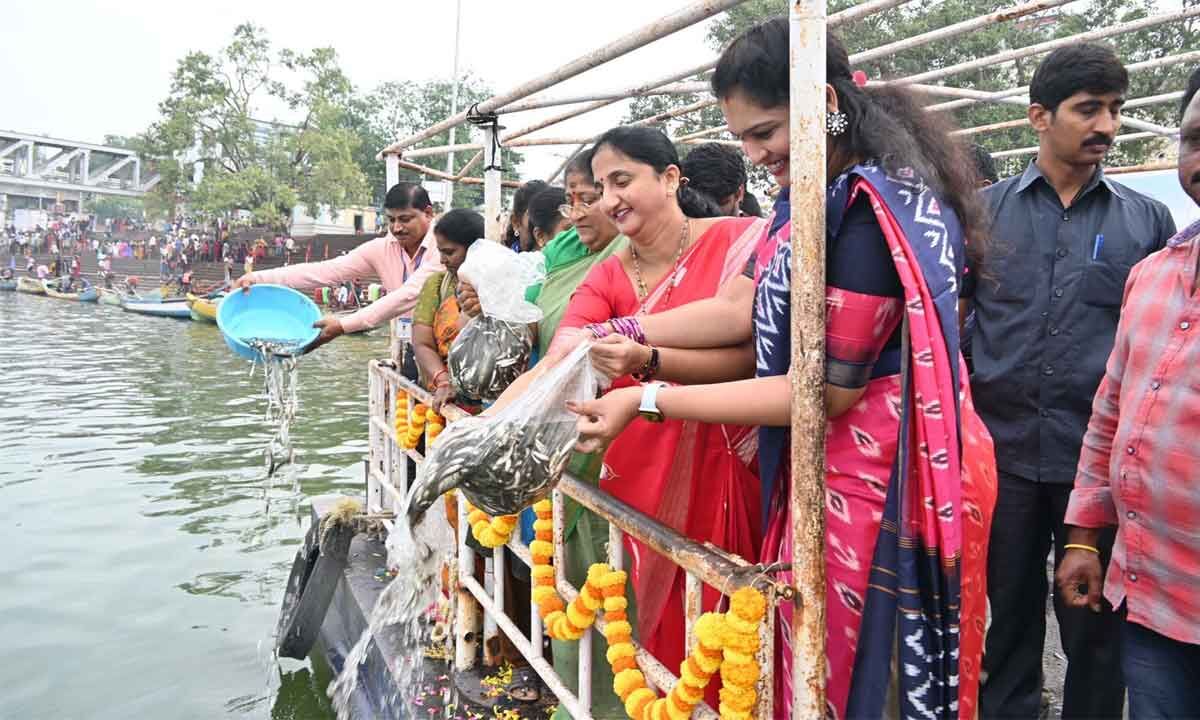 22.41 lakh fish fingerlings released in Godavari