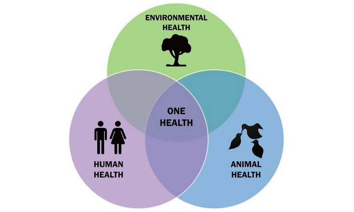Consortium to submit report for One Health approach soon