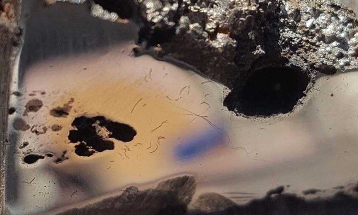 Asteroid That Hit Earth Found To Contain Two Minerals Never Before ...