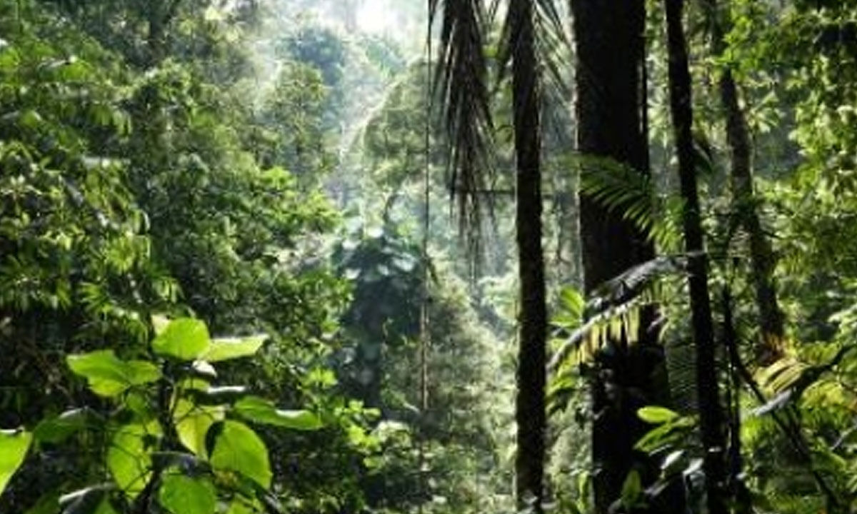 GEF funds to support next generation of conservation scientists