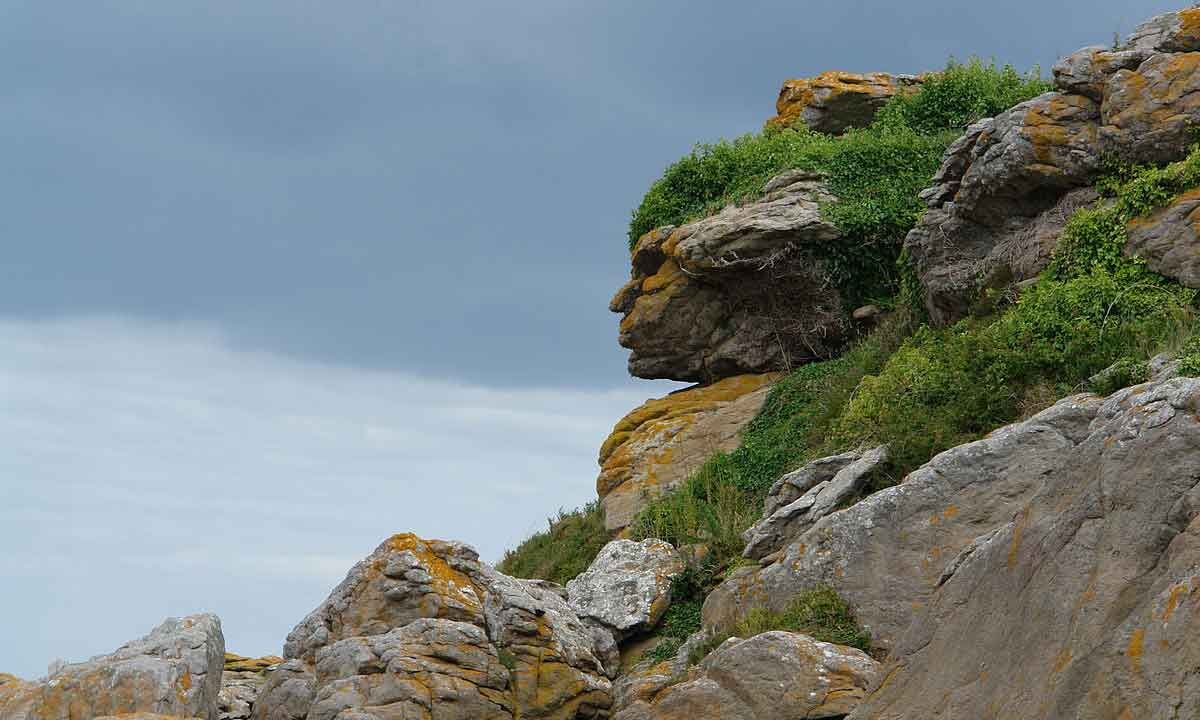 Pareidolia: Seeing faces at unusual places & why does it happen?