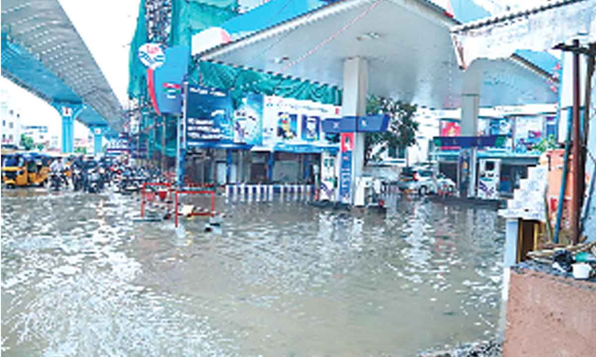 Heavy rains lash south AP