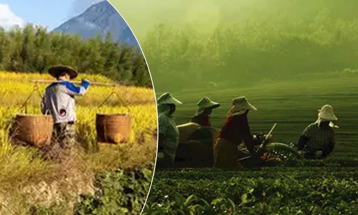 Significance And History Of National Farmers Day