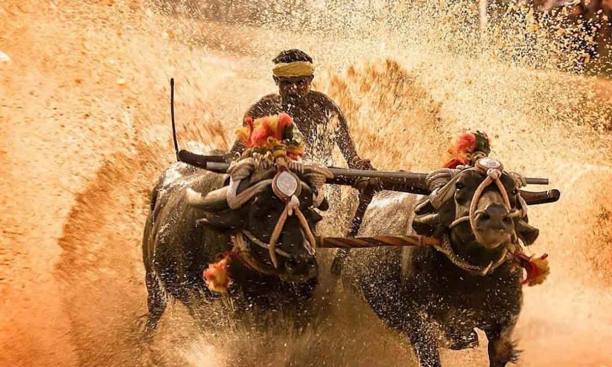 Kambala featured under 'Games of India'