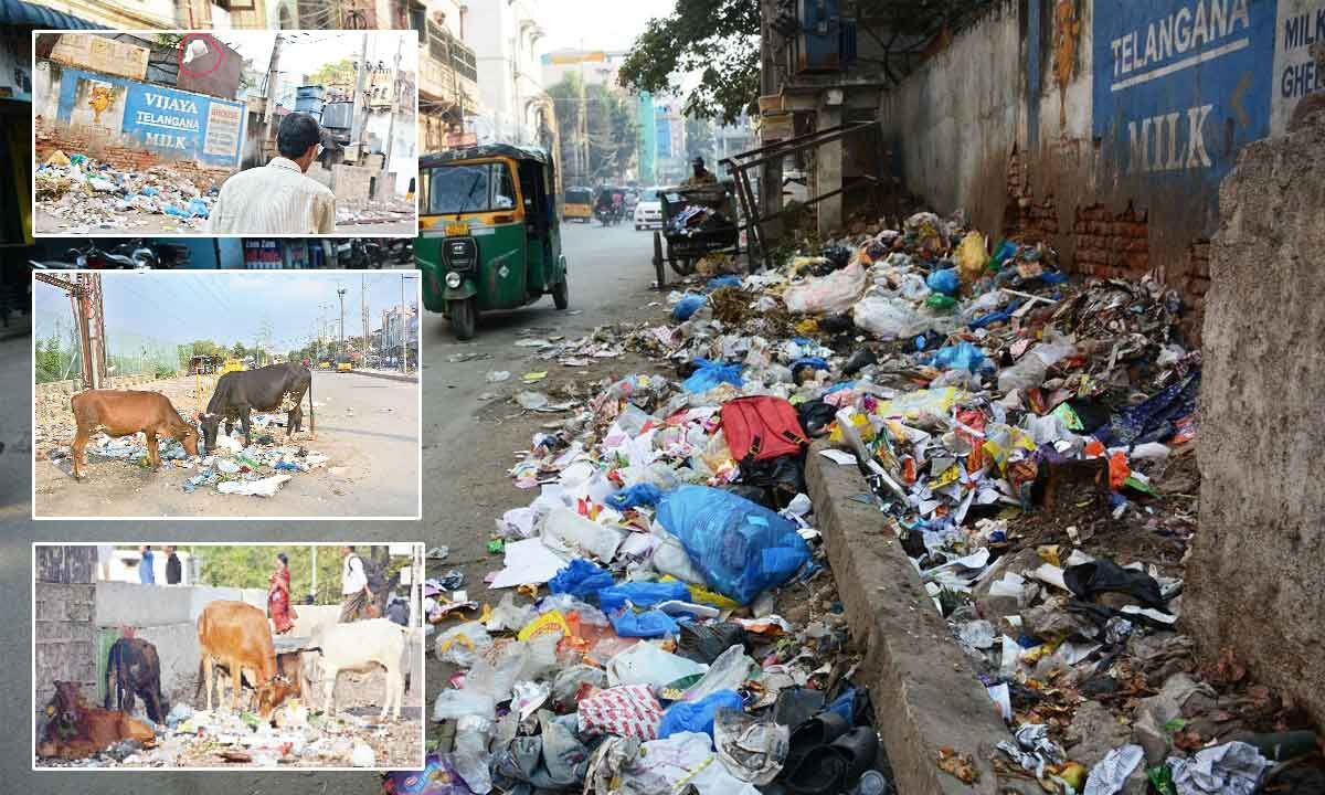 Hyderabad: Roads, street corners turn garbage dumps across City