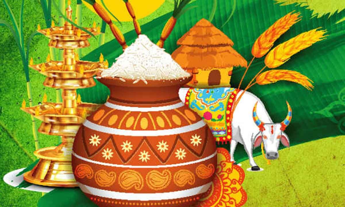 Sankranti brings enthusiasm everywhere