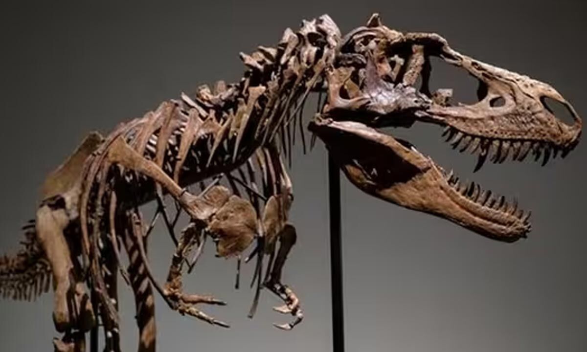 Researchers Discovered 92 Nesting sites In India's Narmada Valley