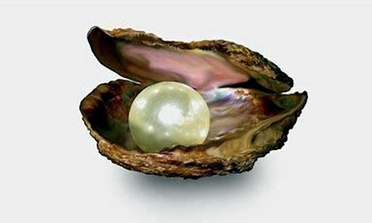 Few Interesting Facts About Pearls, Queen of Jewels