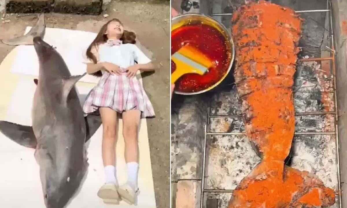 Food Blogger In China Fined Rs 15 Lakh For Allegedly Illegally Buying And Eating White Shark