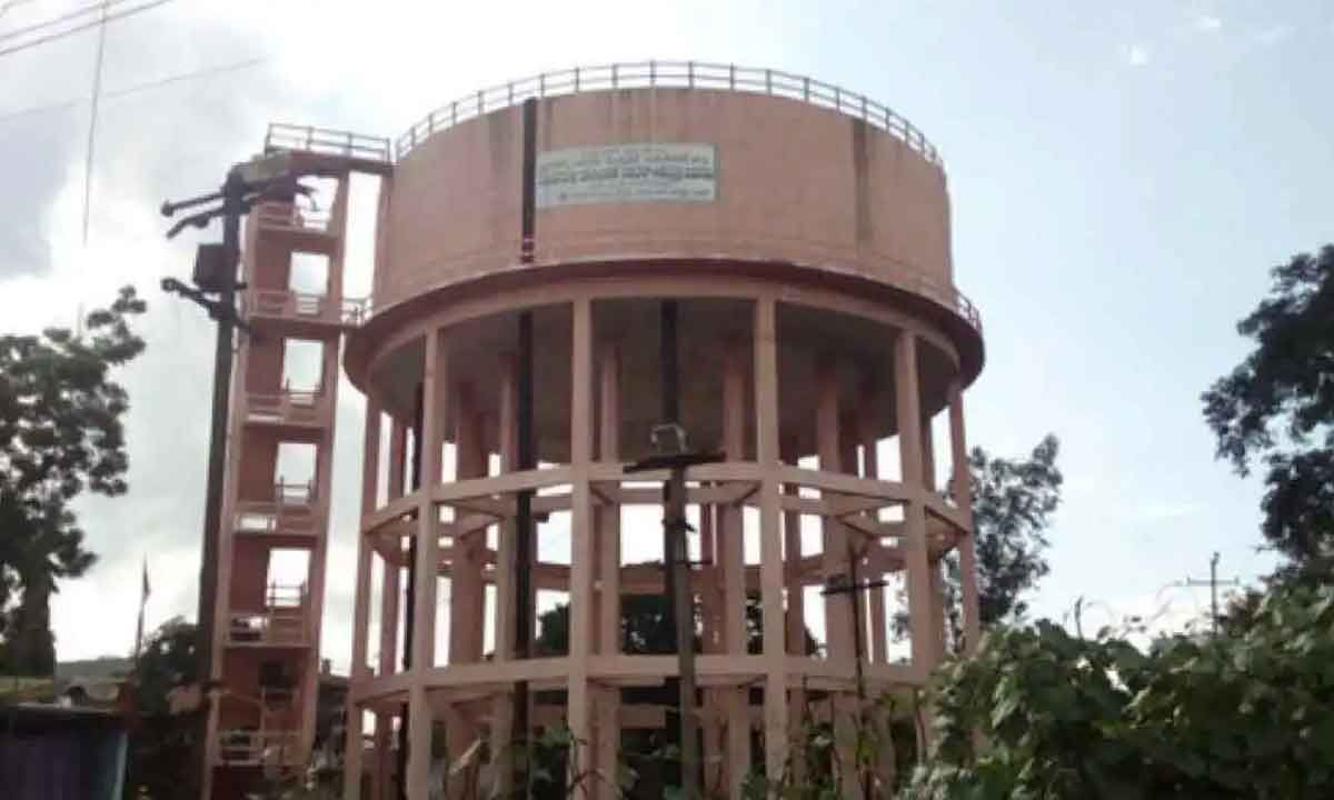 Carcass Of Dog Discovered Inside Water Tank Close To Sivakasi In Tamil Nadu