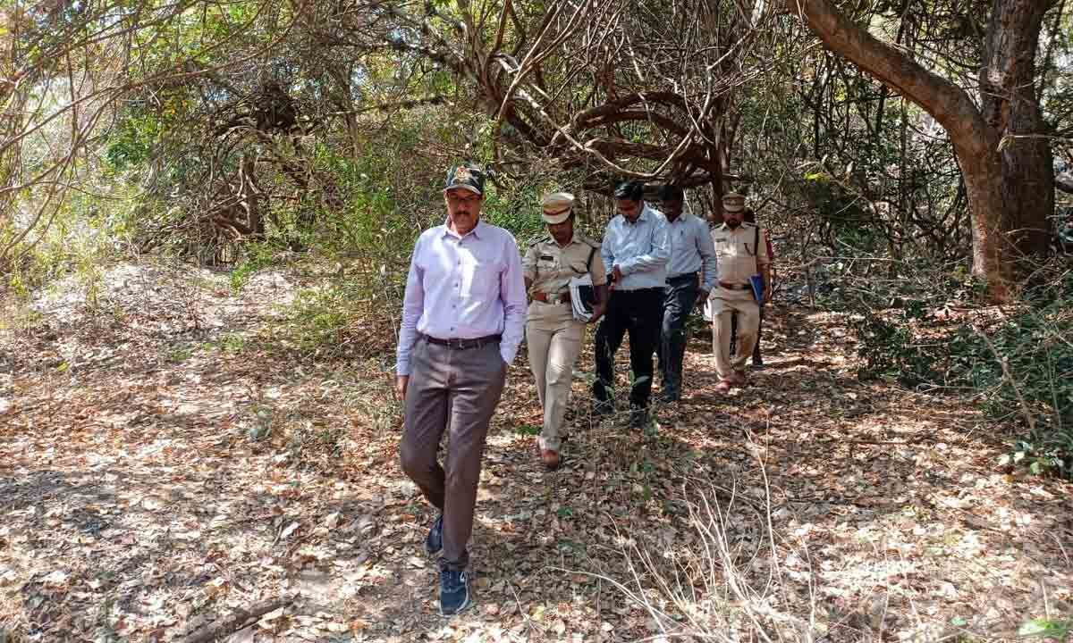 Plans underway to transform Kondagattu forest as tourist hub