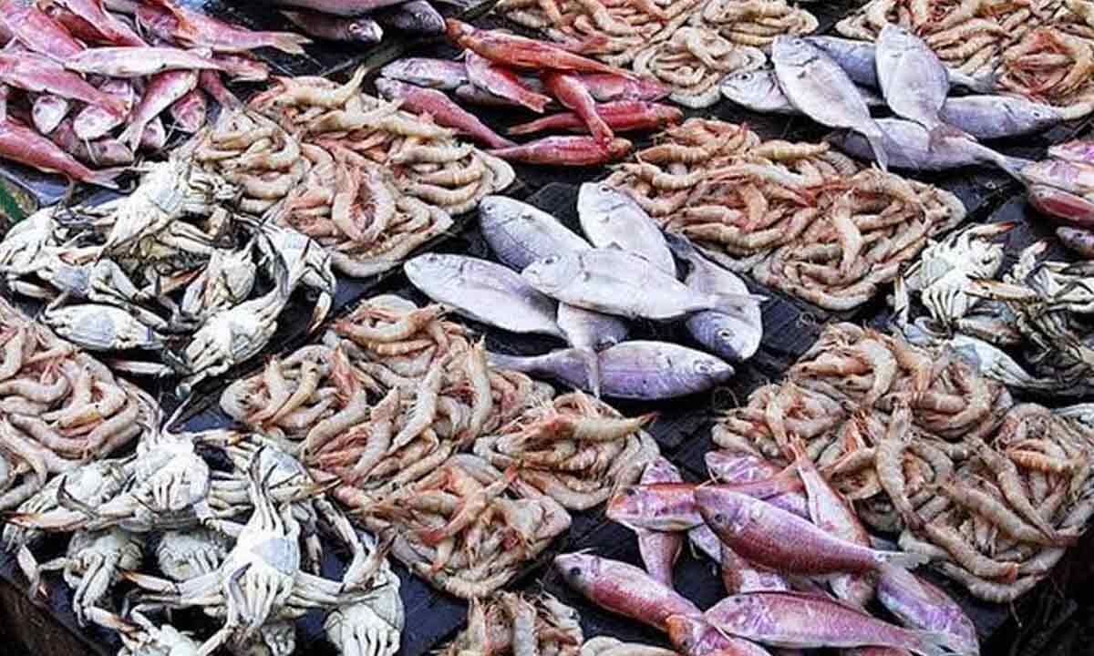 Andhra Pradesh government launches 3-pronged strategy to promote fish ...