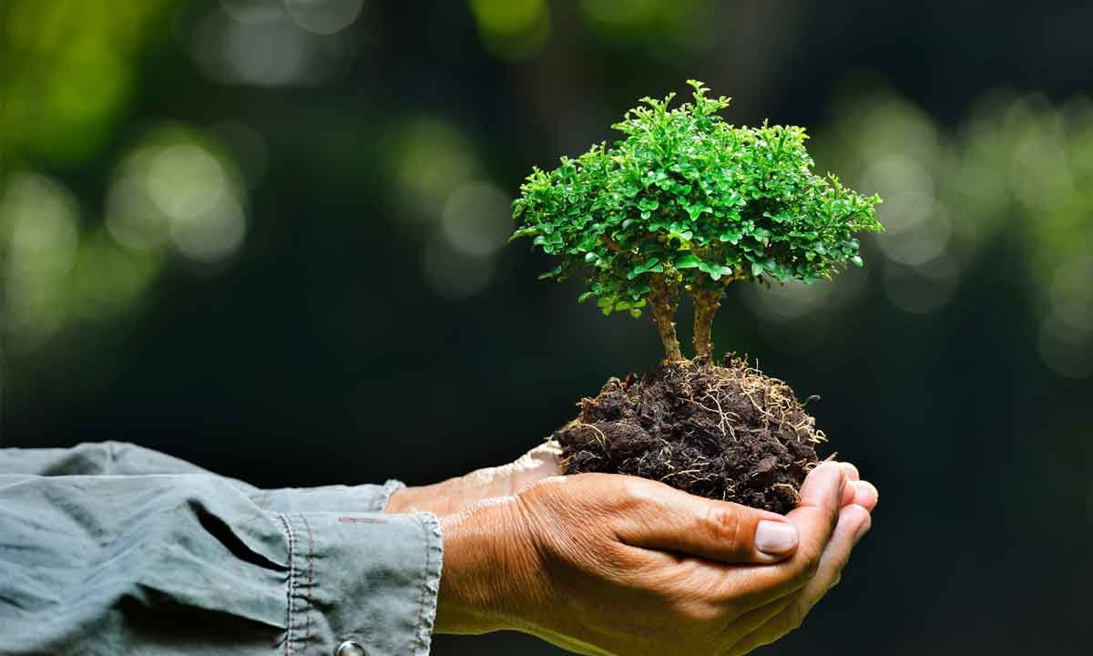 Rethinking environmental education