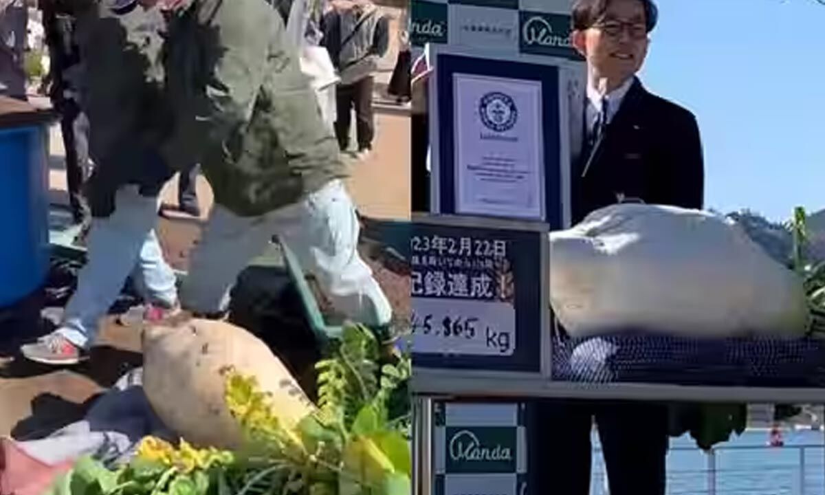 Company From Japan Achieved Guinness World Records For Growing Heaviest ...