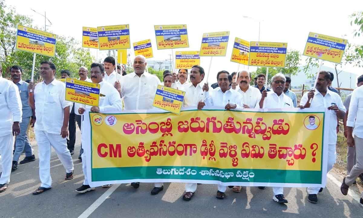TDP members in council boycott proceedings