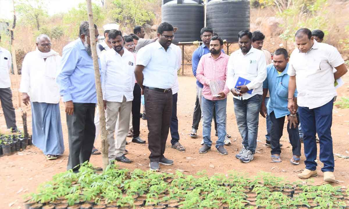 Officials told to meet Haritha Haram targets