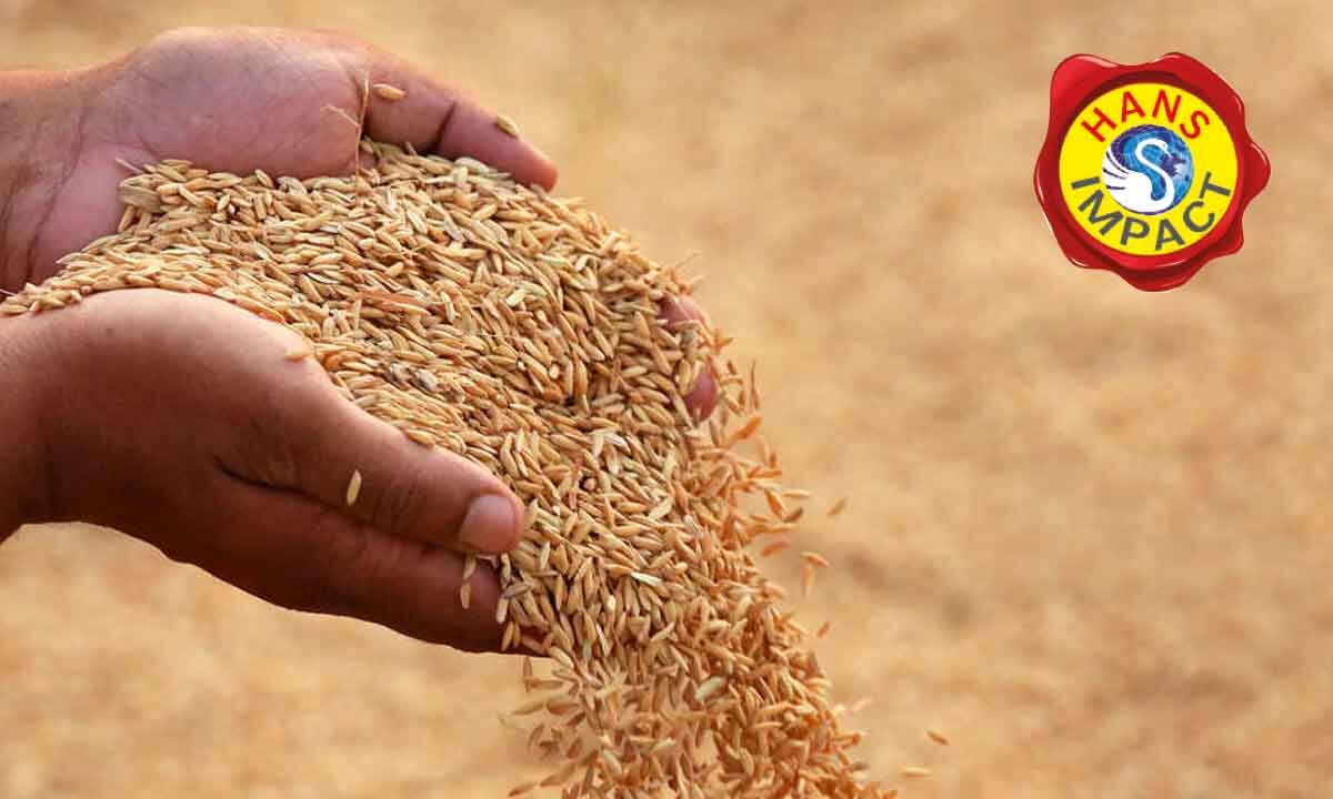 Paddy procurement to continue till March 30