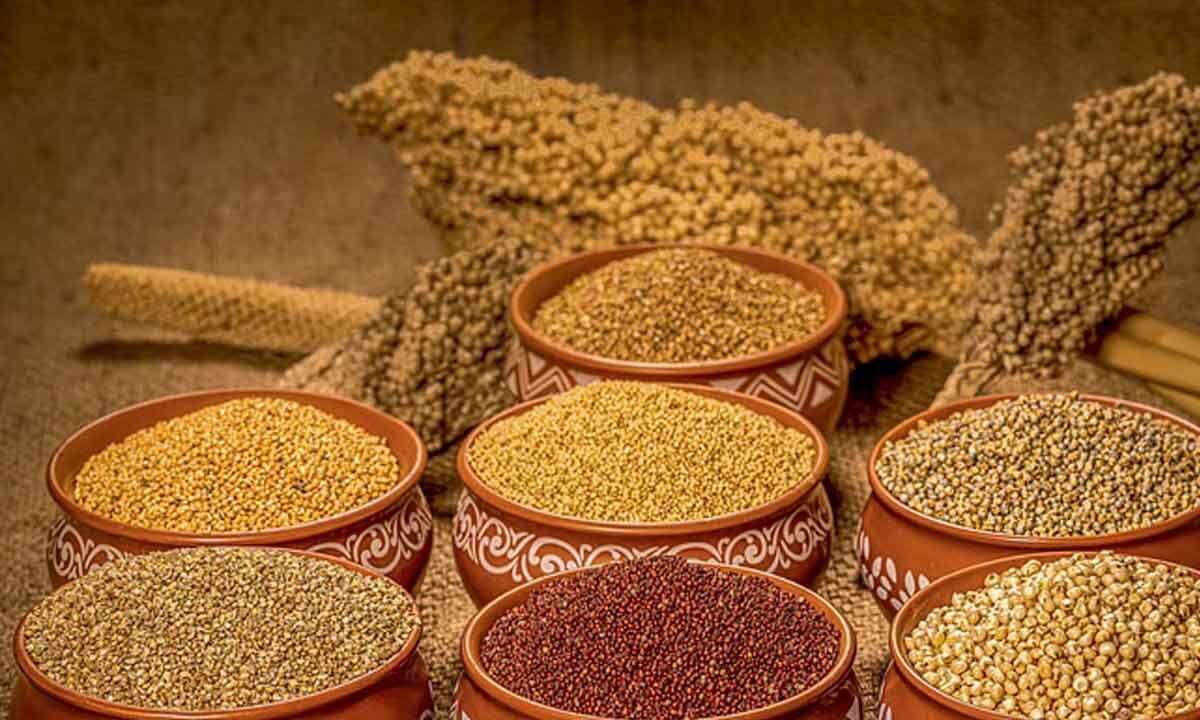National meet on millets to kickstart today