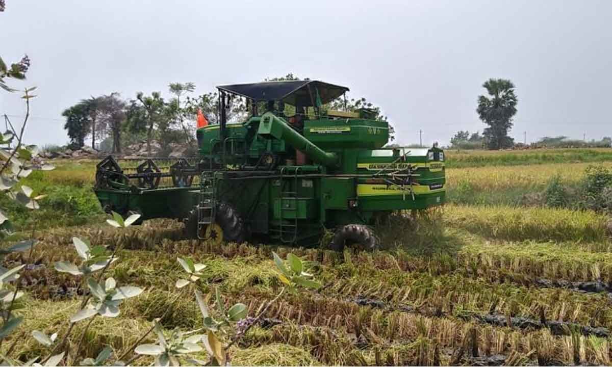 Miryalguda: Delight for paddy farmers as yield reaps benefits more than MSP