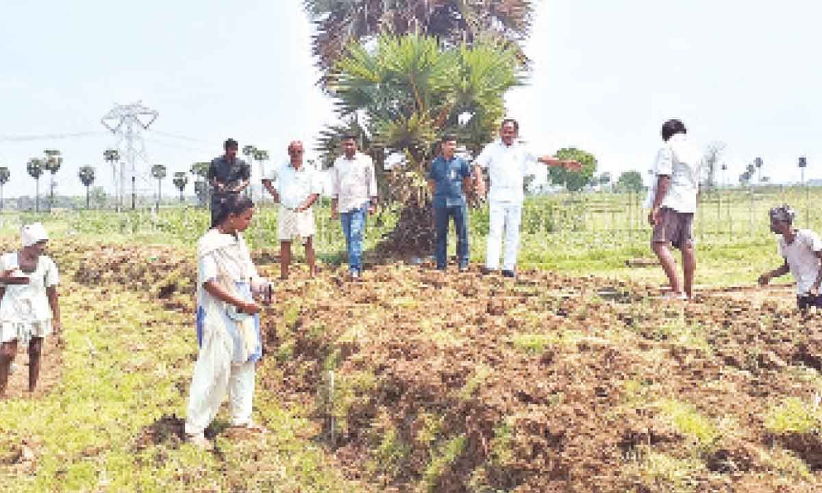 Deputy CM Mutyala Naidu inspects MGNREGS works