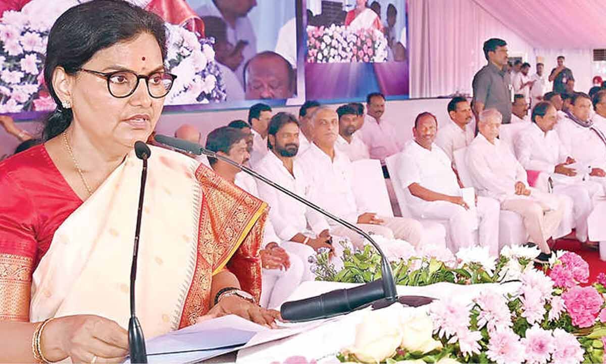 Telangana CS Santhi Kumari: Ambedkar statue will be of 'Chaitanya Deepti'