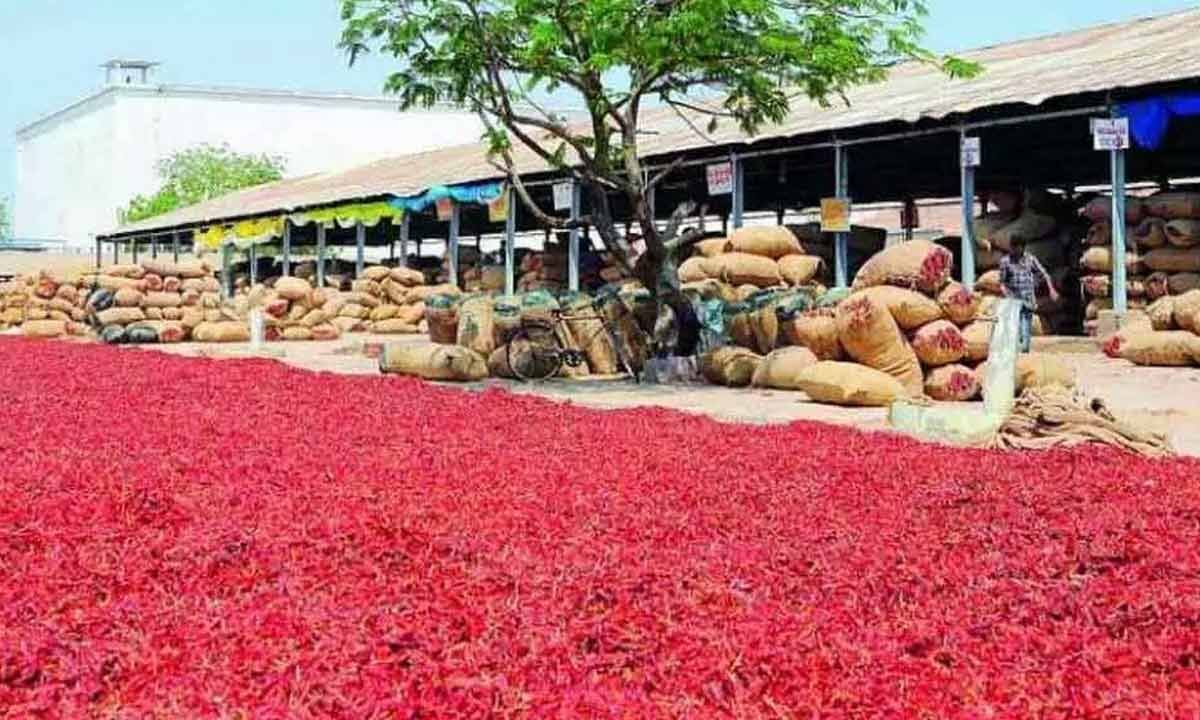 Guntur Mirchi Yard to be renovated