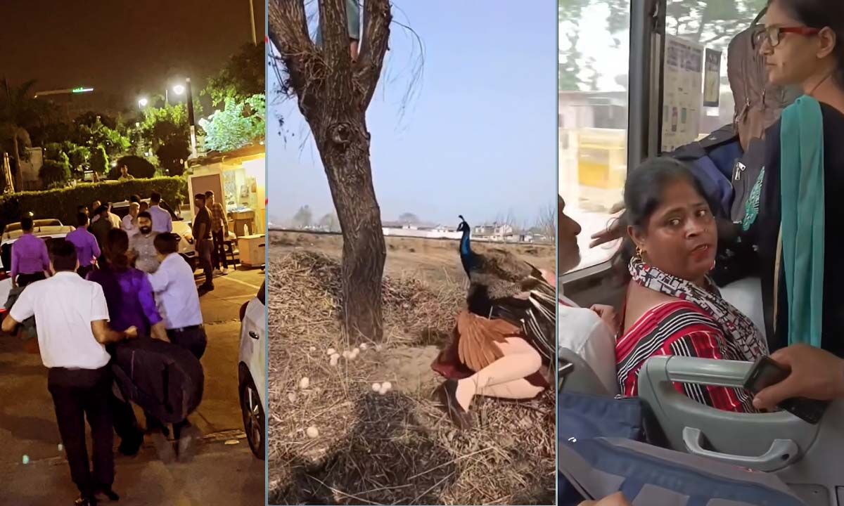 Top Trending Videos Of The Week (15 April - 21 April)