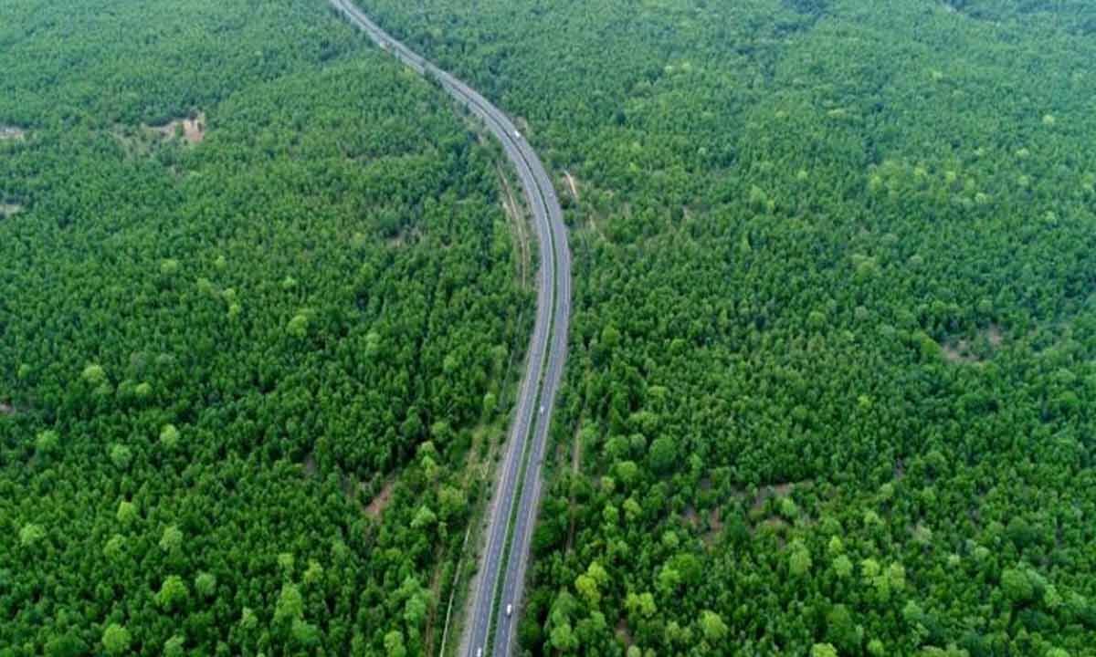 TS government greenlights pending road projects in forest areas