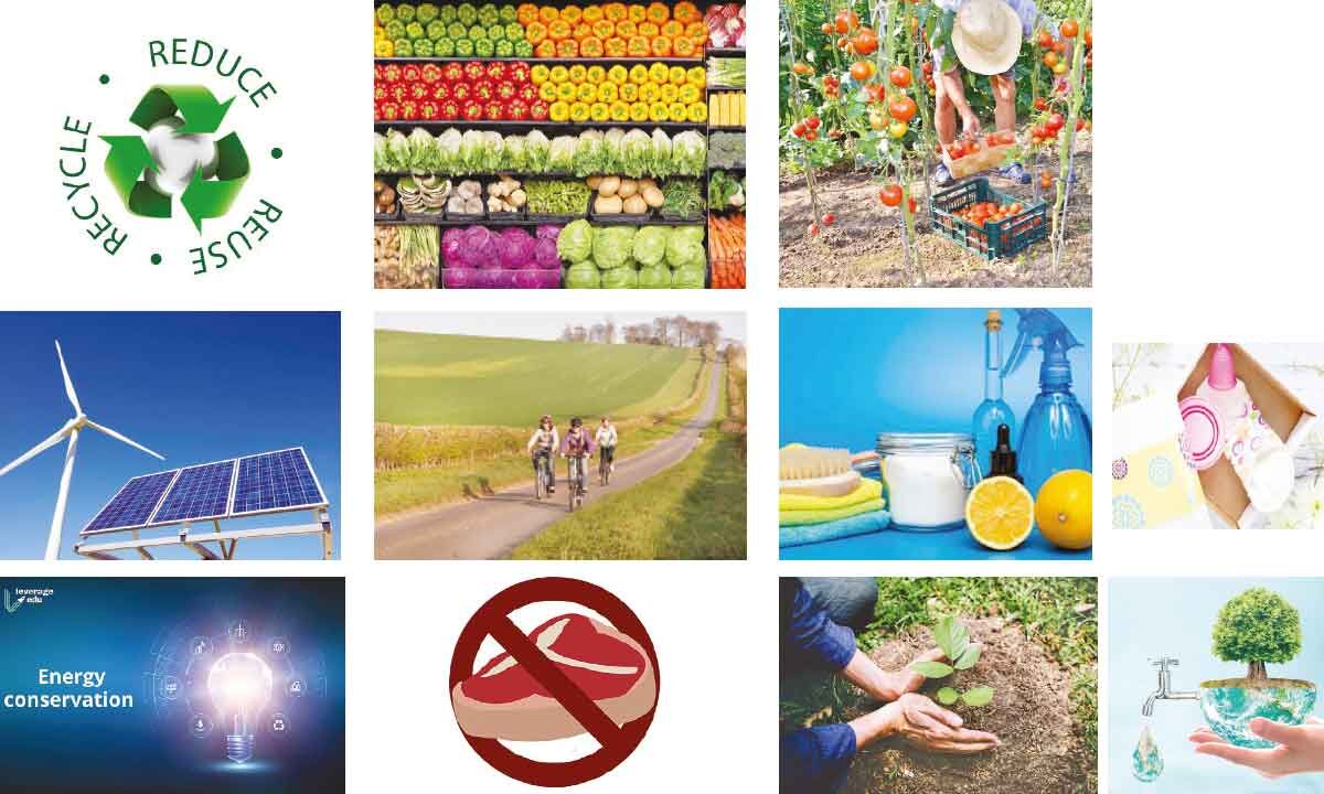 What is being eco-friendly and how to become one?