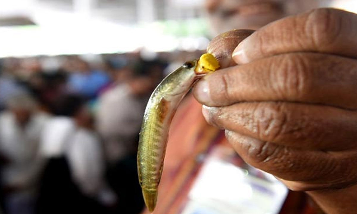 Fish Prasadam on June 9