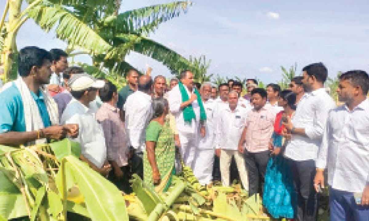 Nandyal: MLA Shilpa Chakarapani Reddy assures all support to rain-hit ...