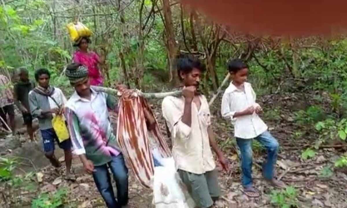 Paderu: Still doli is only mode of transportation for tribals