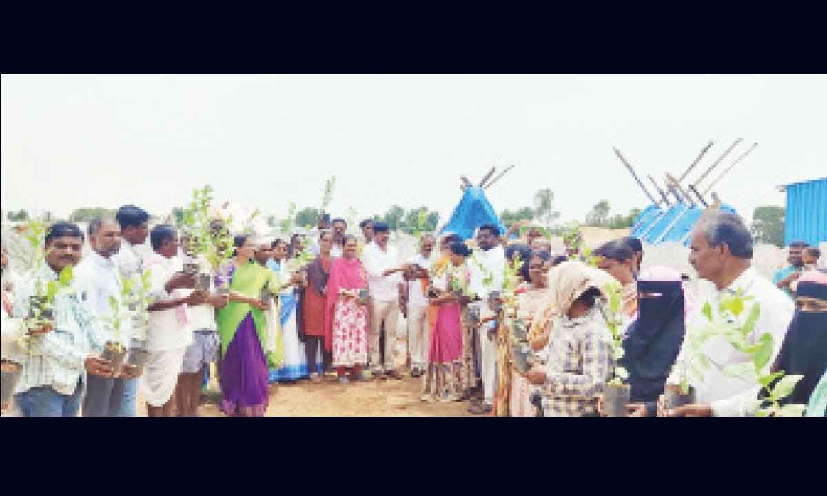 Haritha Haaram world’s largest plantation drive says Bhootpur MPP ...